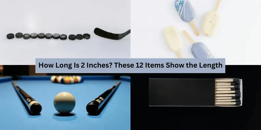 2 Inches Long: 12 Surprising Things You Didn’t Expect! - MeasureScopez